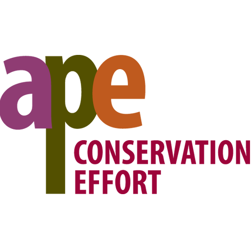 Home - Ape Conservation Effort